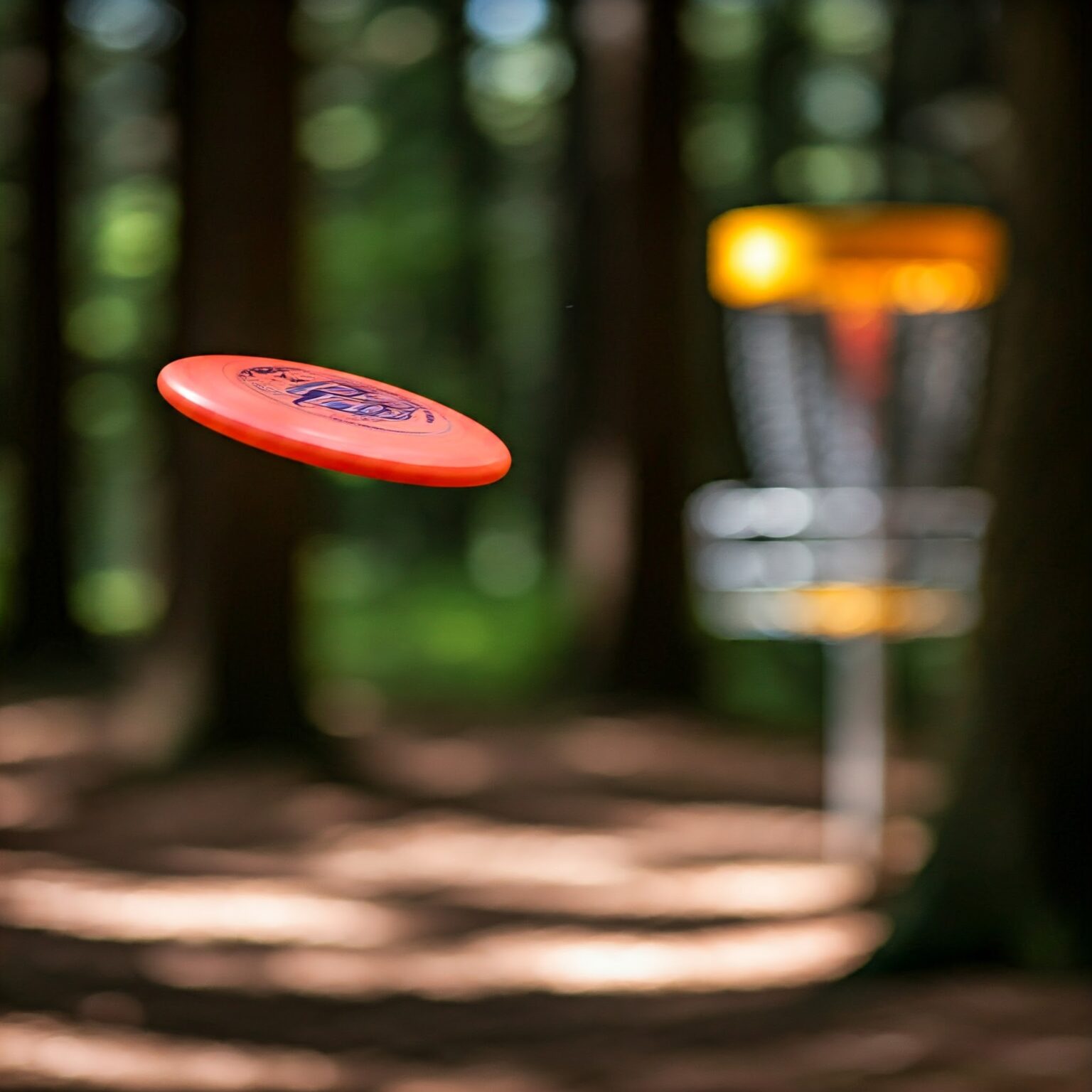 Disc Golf in the Woods Tips That Actually Work